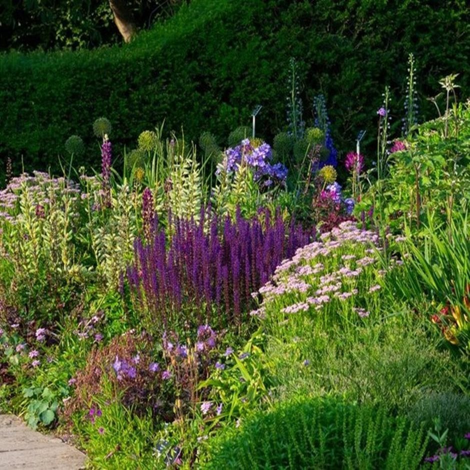 Ground Cover For Chalky Soils