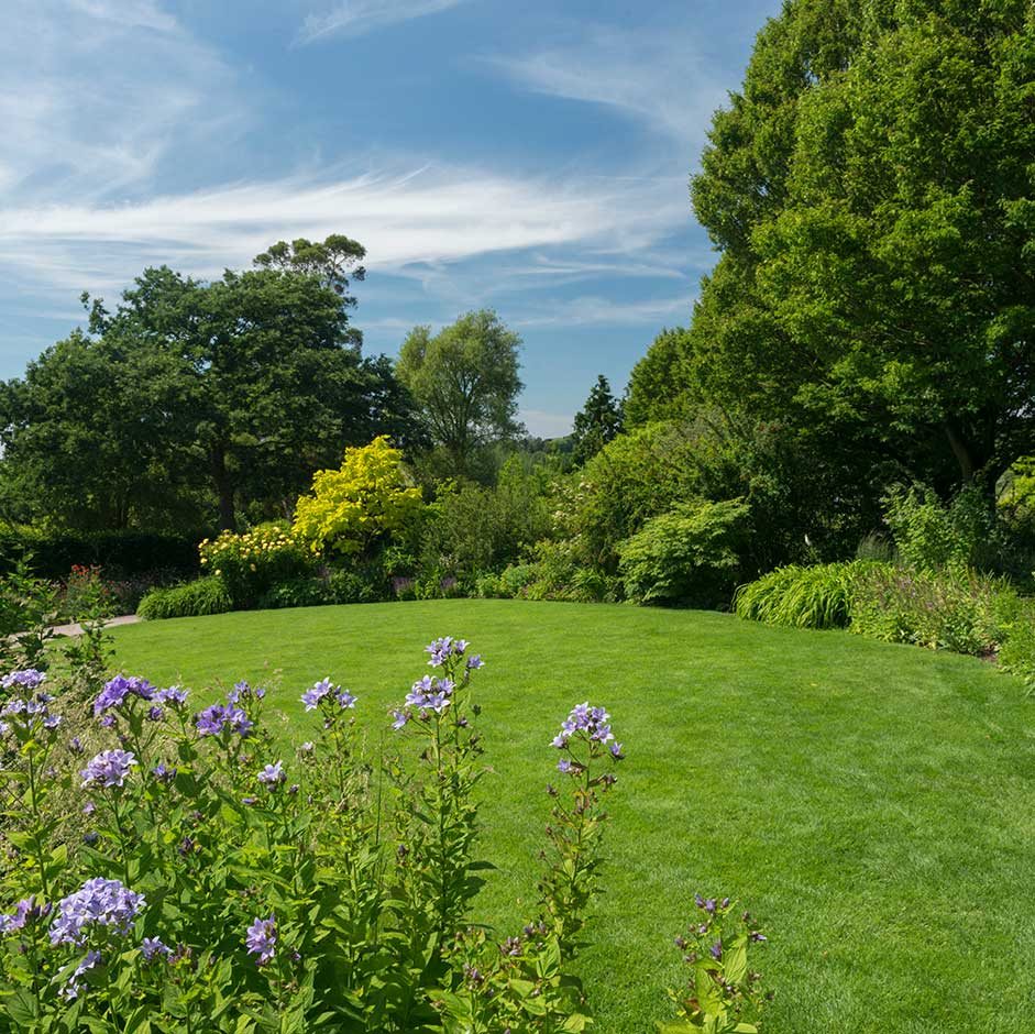 Fusarium patch and Snow mould: Causes & Control | RHS Advice