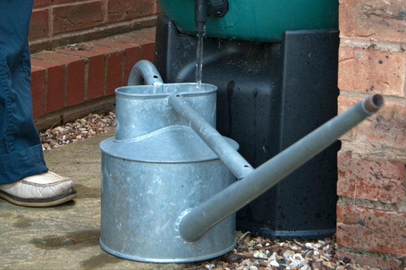 Collecting, storing and reusing water | RHS Advice