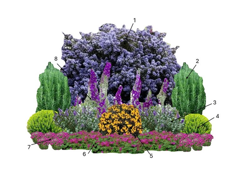 Drought Pollinators: Spheres and Spires | RHS Advice